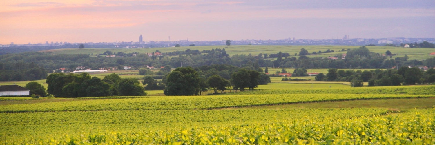 Mairie du Landreau (44) – Site Officiel de la Commune